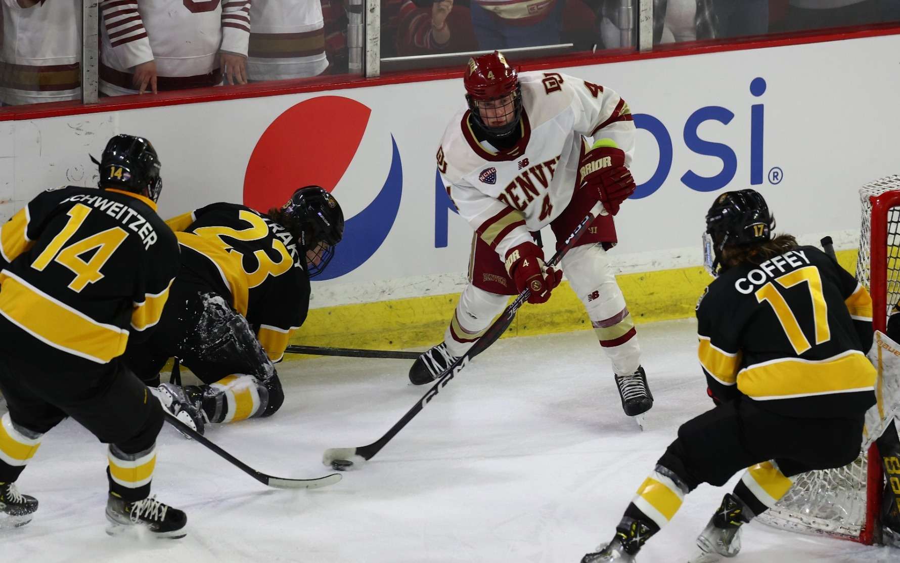 Fairbanks Ice Dogs Hockey Schedule: Your Guide to the Exciting Games ...